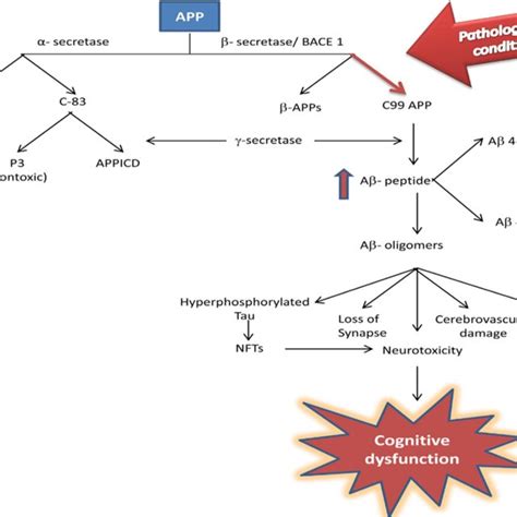 Diagrammatic Presentation Of App Processing Pathways [1] Download Scientific Diagram