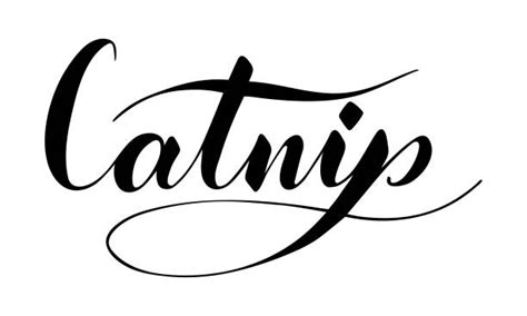 20 Catnip Garden Stock Illustrations Royalty Free Vector Graphics And Clip Art Istock