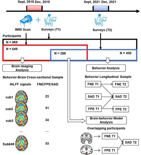 A Schematic Overview Of The Samples Structure And Analysis Pipeline Download Scientific Diagram