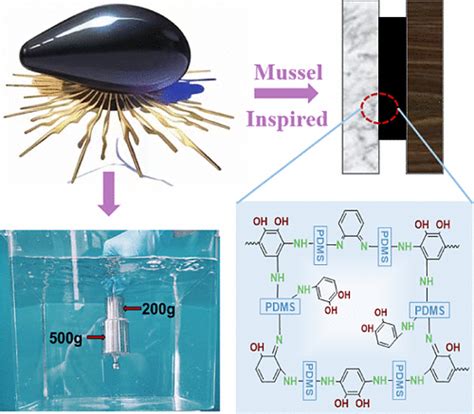 Mussel Inspired Green Cross Linking Of Silicone Elastomers And Its Tunable Adhesion Behavior And