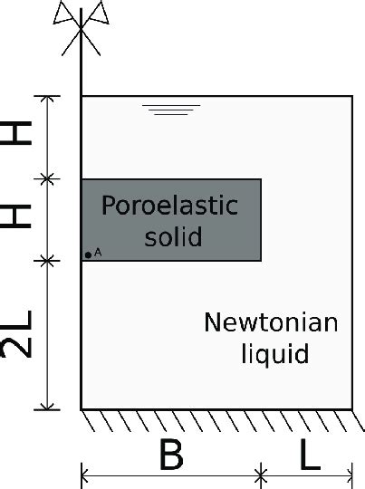 Geometry Of The Two Dimensional Poroelastic Flow Simplified Download Scientific Diagram