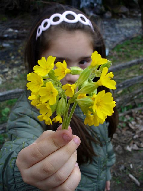 Shy Angela Larisa Mitic Flickr