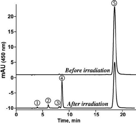 Hplc Chromatograms Of A Solution Of Bilirubin 442 ␮ Mol L 25 8 Mg Dl Download Scientific