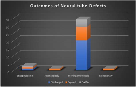 Outcomes Of Neural Tube Defects Download Scientific Diagram