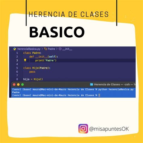 Herencia De Clases Basica