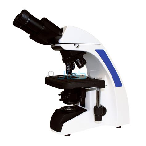 Senior Dissecting Microscope India Albania Tirane Algeria Algiers Andorra Andorra La