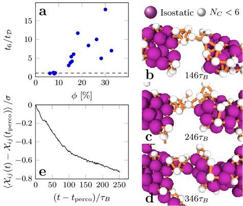 Directed Percolation And Isostaticity Percolation A Ratio Of The