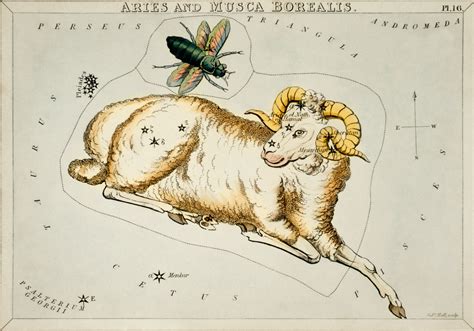 Aries The Ram Satya Astrology