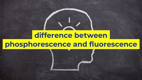 Difference Between Phosphorescence And Fluorescence Sinaumedia