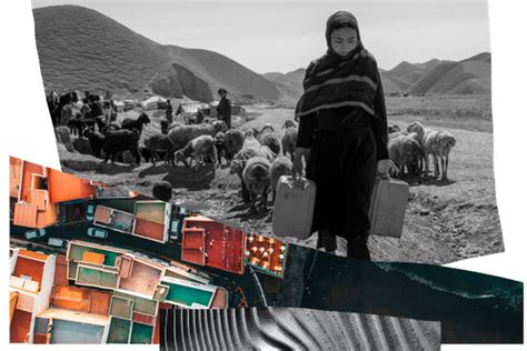 Klimaatverandering De Beste En Slechtste Scenarios En Wat Die Betekenen Voor Ons Voedsel Mo