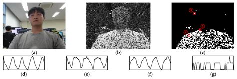 Sensors Free Full Text Non Contact Respiration Measurement Method Based On Rgb Camera Using
