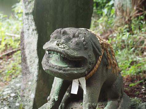The Usui Pass Karuizawa To Yokokawa Private Nakasendo Hiking Tours