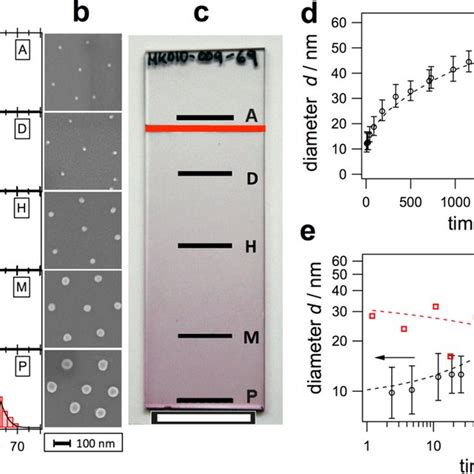 Particle Size Investigation Along The Gradient A Histograms Of The
