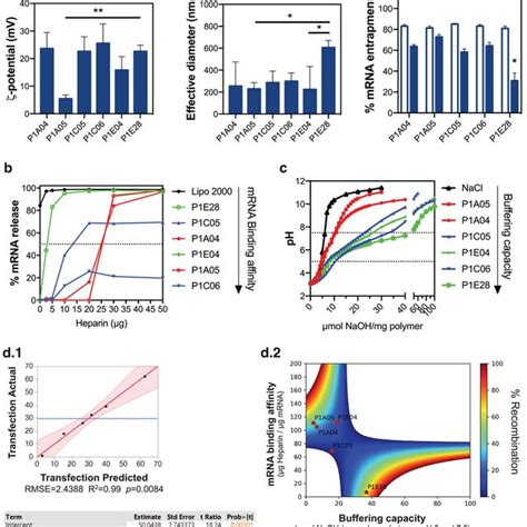 High‐throughput Screening Of Polymer Library For Mrna Delivery A Nps Download Scientific