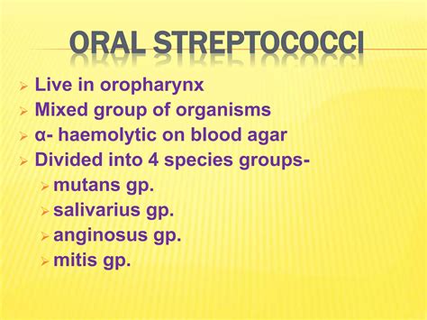 Streptococcus Pptx
