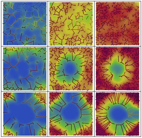 New Mox Report On ” Modeling Hypoxia Induced Radiation Resistance And The Impact Of Radiation