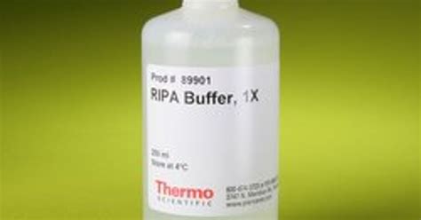 Thermo Scientific™ Ripa Lysis And Extraction Buffer