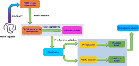 Flow Chart Of The Proposed Model For Predicting Potential Sips Download Scientific Diagram