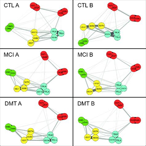 Network Graphs For The Different Diagnostic Groups Nodes Colours Download Scientific Diagram