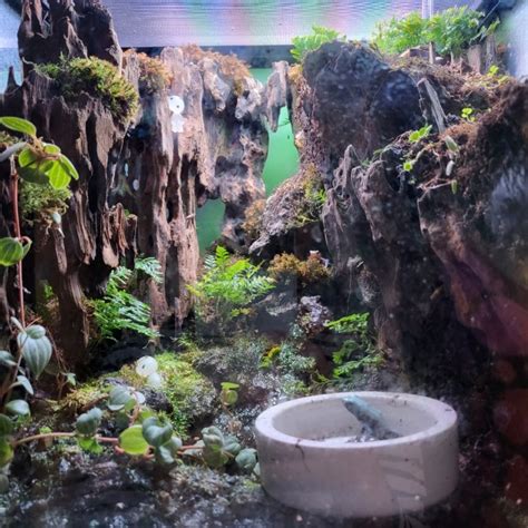 비바리움 뜻 만들기 테라리움 만들기 셀프로 가능 네이버 블로그