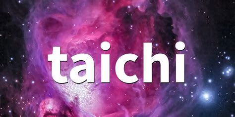 Taichi 172 The Taichi Programming Language
