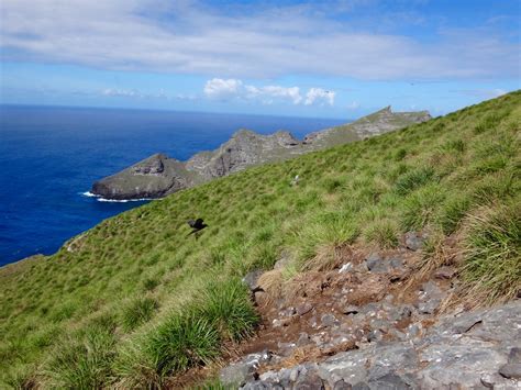 Nihoa Island Photo Credit S Plentovich Usfws The Bunch… Flickr