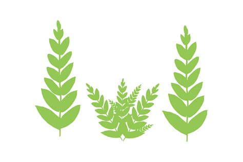 Tree SVG Tree Clipart Pine SVG Nature SVG Svg Files For Cricut Cricut Svg Tree Vector