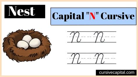 Cursive Letters Cursive Capital