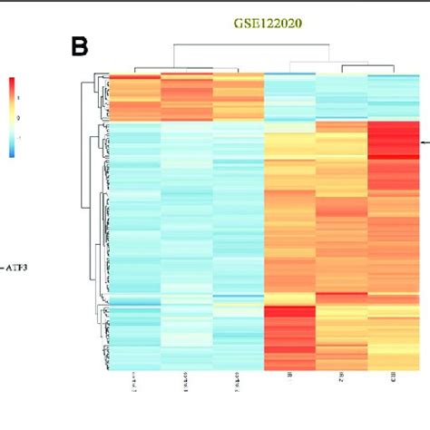 Bioinformatics Analysis Identified DEGs In Two Independent Gene Download Scientific Diagram