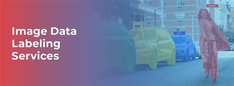 How To Choose The Right Image Data Labeling Services Macgence Macgence