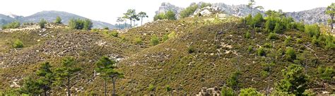 About Nature And Flora In Ikaria Ecotourism Greece