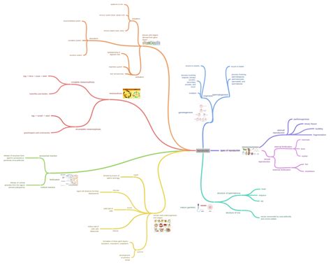 Reproduction Coggle Diagram Reproduction Coggle Diagram