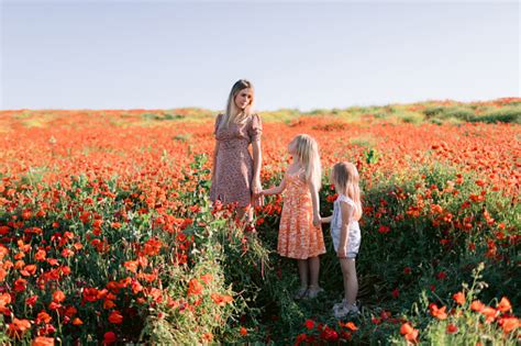 꽃이 만발한 양귀비 밭에서 딸을 데리고 있는 어머니 아름다움 웃는 여자와 빨간 꽃으로 드레스를 입은 아이 가족에 대한 스톡 사진 및 기타 이미지 Istock