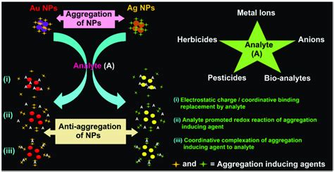 Schematic Of The Anti Aggregation Strategy Applied In Au Nps Ag Download Scientific Diagram