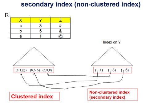 Db B Tree File Organization Brain Backup