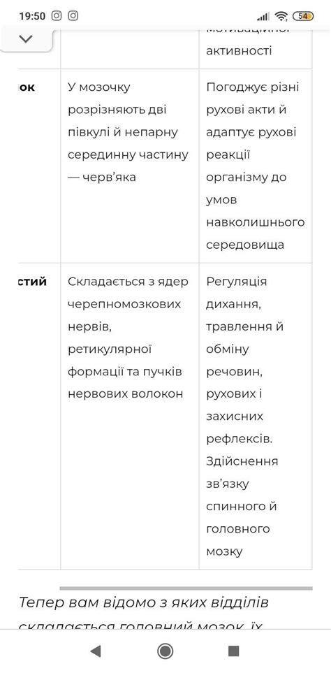 Назвіть основні відділи головного мозку людини та опишіть їх функції Школьные Знания Com