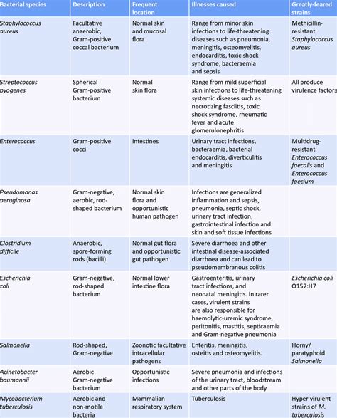Most Common Antibiotic Resistant Pathogens Download Table