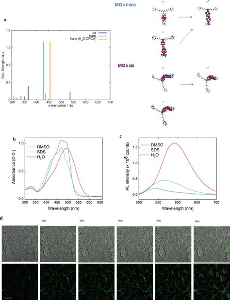 A Computed Uv Vis Electronic Transition And Molecular Structures For Download Scientific