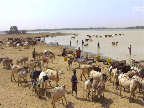 3회 제2부 사하라의 묵시록 다시보기 아프리카의 눈물 만나면 좋은 친구 Mbc