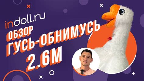 Надувной костюм Гусь обнимусь, обзор ростовой куклы 2,3м - YouTube