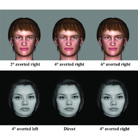 Examples Of Gaze Direction Stimuli In Experiment 1 A And Experiment Download Scientific