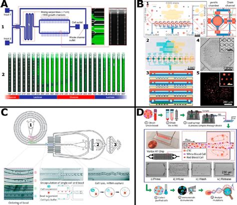 Examples Of Microfluidic Devices For Single Cell Trapping And Analysis Download Scientific