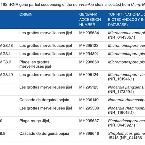 Maximum Likelihood Tree Based On Partial 16s Rrna Gene Showing The