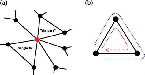 Example Calculation Of The Clustering Coefficient A The Highlighted Download Scientific