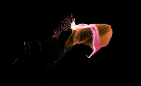 Addressing Bias In Data Annotation News Center