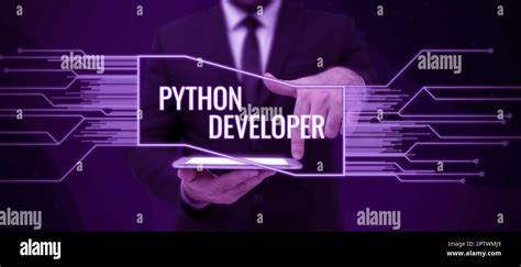 Text Caption Presenting Python Developer Business Overview Responsible