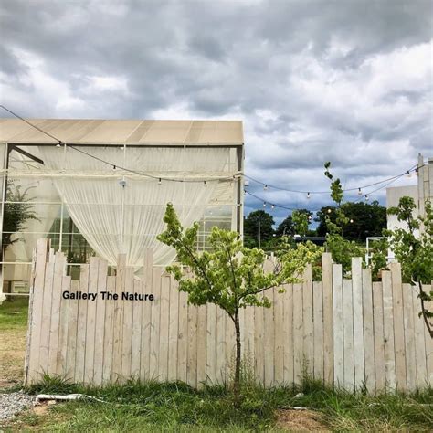 갤러리 더 네이처