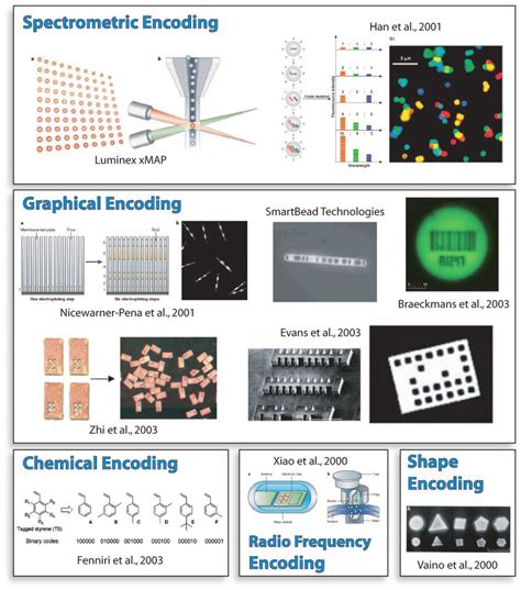 4 methods for particle encoding shown are examples of download