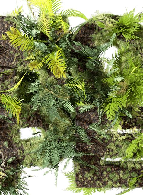 HP Innovation On Behance