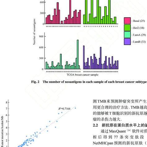 Correlation Between Neoantigen Number And Tumor Mutation Burden Download Scientific Diagram